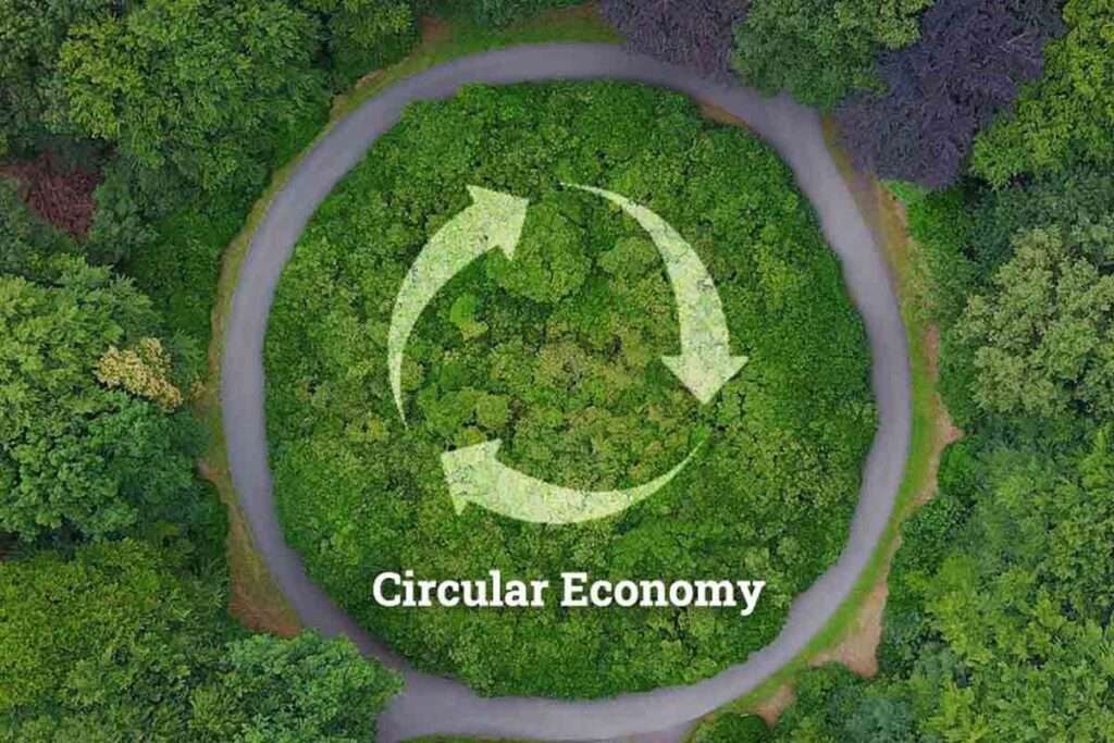 Circular Economy: Definition, Importance & Benefits