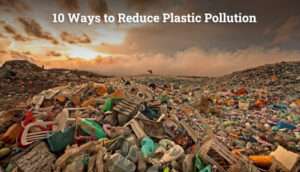 10 Effective Ways to Reduce Plastic Pollution