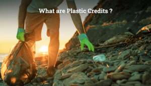What are Plastic Credits and How does it Work?