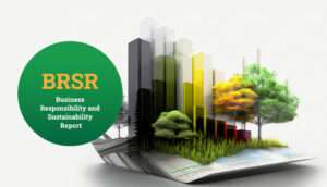 BRSR Reporting in India: Applicability, Format, Guidelines, Benefits