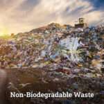 What is Non-Biodegradable Waste? Definition and Examples