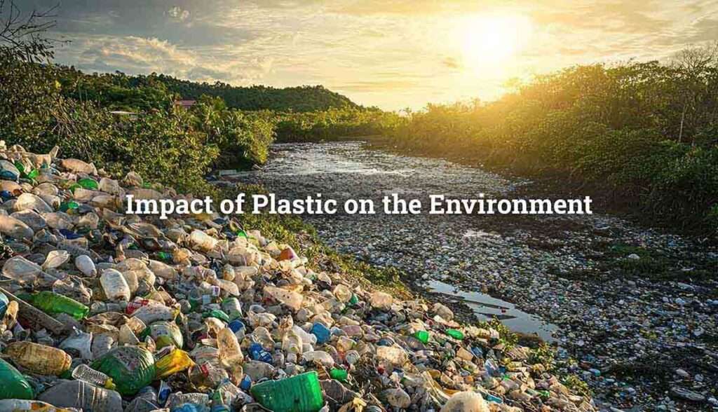 What is the impact of plastic on Environment?