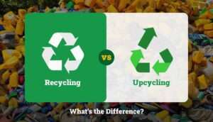 Recycling vs Upcycling: What’s the Difference?