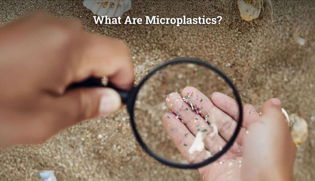 Microplastics | Types, Sources, Impact & Solutions